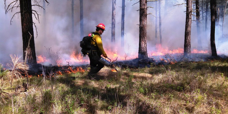 Fire Science Applications – Center for Applied Fire and Ecosystem Science