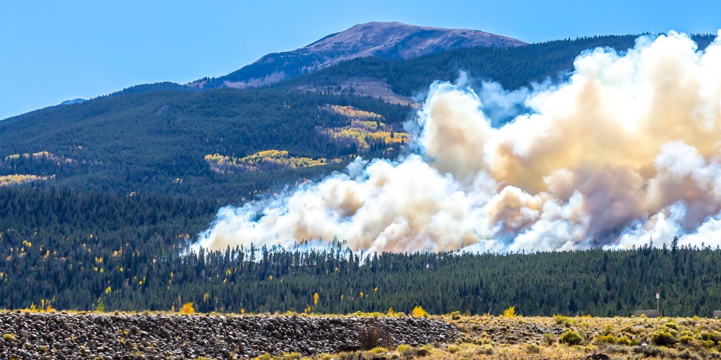 Fire Science Applications – Center for Applied Fire and Ecosystem Science